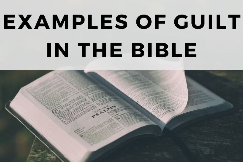 13 Examples of Guilt in the Bible - TRUST IN THE BIBLE