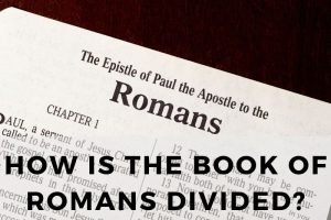 How Is the Book of Romans Divided? (Sections Analyzed) - TRUST IN THE BIBLE