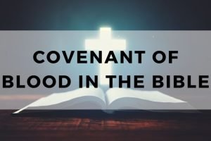 Examples of the Covenant of Blood in the Bible - TRUST IN THE BIBLE