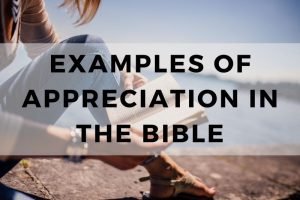 Inspiring Examples of Appreciation in the Bible - TRUST IN THE BIBLE