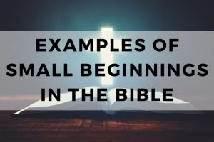 10 Examples of Small Beginnings in the Bible - TRUST IN THE BIBLE