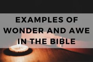 14 Examples of Wonder and Awe in the Bible - TRUST IN THE BIBLE